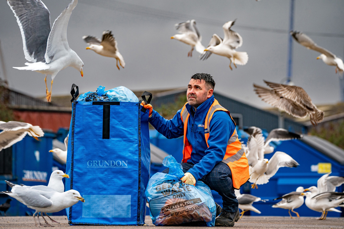 Bristol's seagull scourge to be tackled as Grundon launches scavenger ...